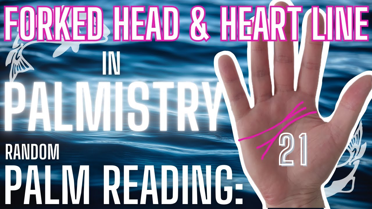 FORKED HEAD AND HEART LINE IN PALMISTRY. RANDOM PALM READING 21 - YouTube
