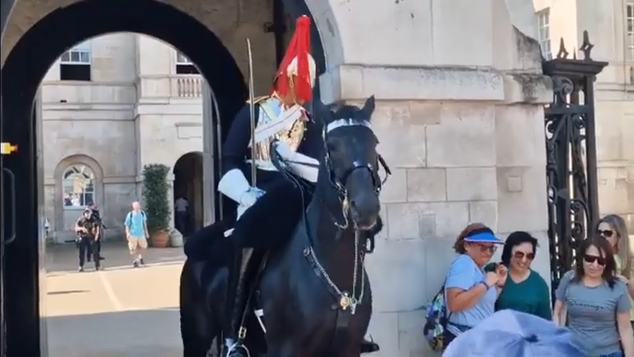TOURIST TOUCHES THE KINGS GUARD MOVE BACK FROM THE KINGS LIFE GUARD ...