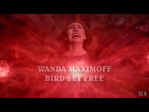 Wanda Maximoff || Bird Set Free