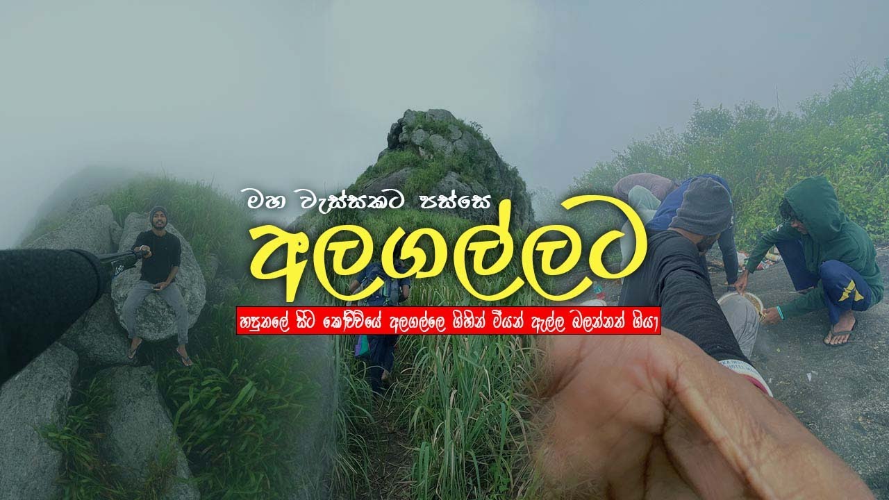 මීදුම මැද අලගල්ල කදු මුදුනේ ගතකල රාත්‍රිය / අලගල්ලෙන් මීයන් ඇල්ල බලා ...
