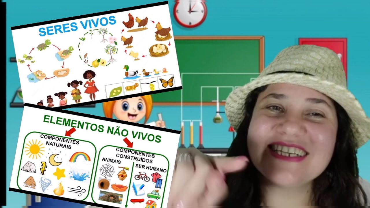 AULA 139 - SERES VIVOS E ELEMENTOS SEM VIDA. SERES VIVOS E NÃO VIVOS ...