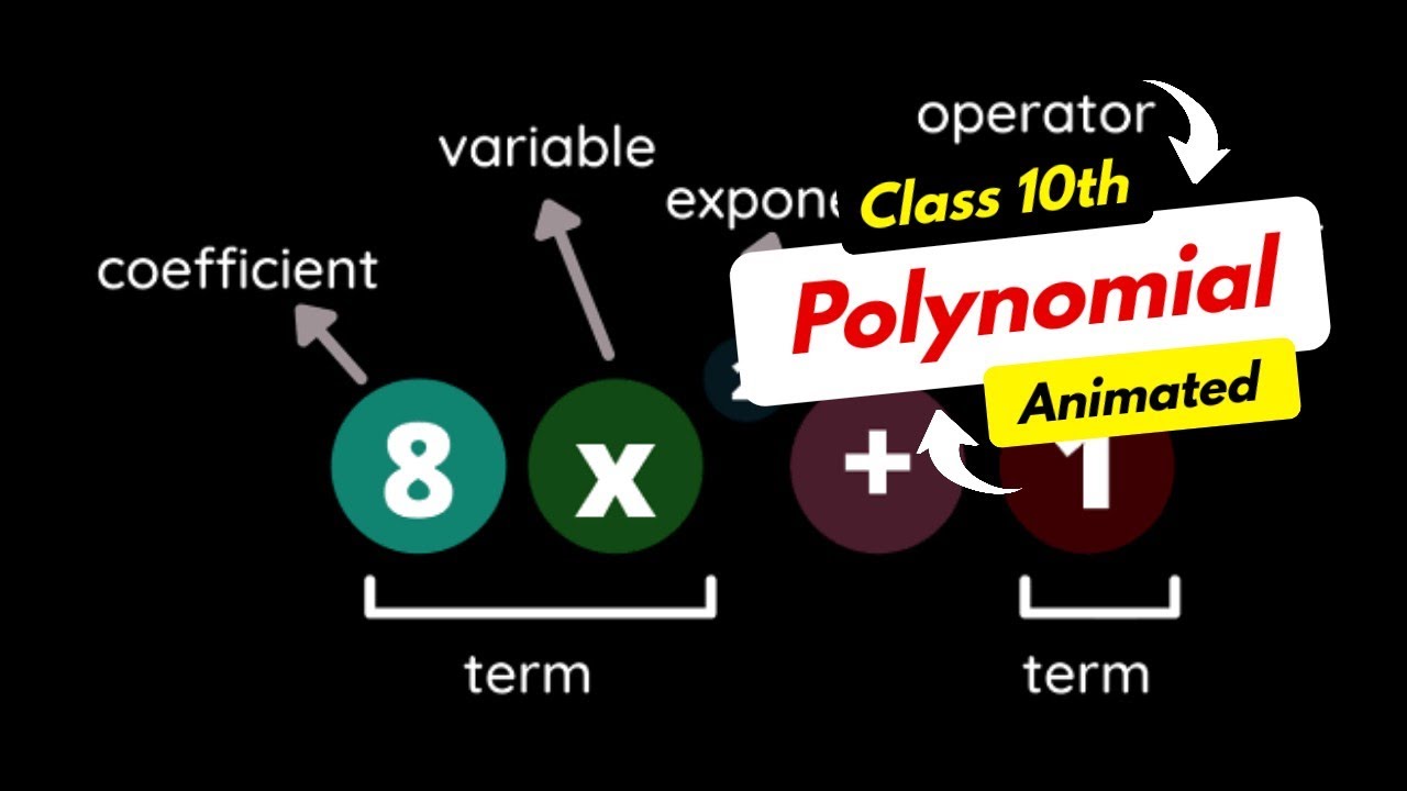 Polynomial | Class 10th Maths Ncert Animated Video | Generation-Z ...