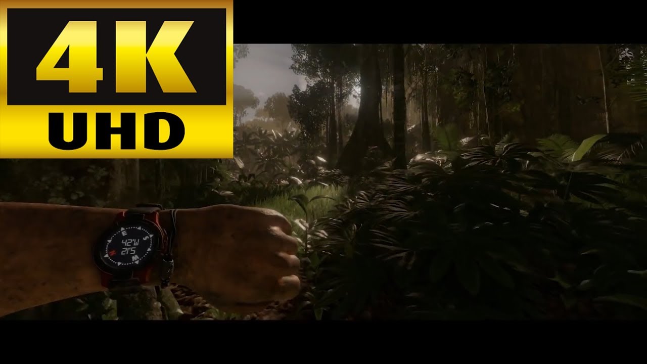 GREEN HELL Official Reveal Trailer New Single Player Survival Game 2018 ...