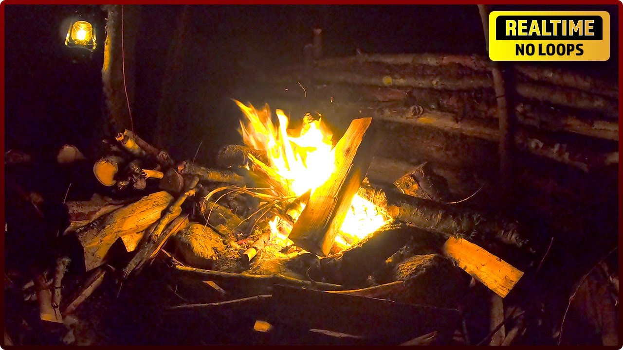 CAMPING Campfire with Heavy Rain in the forest - ASMR - YouTube