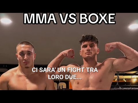 Alex Stana e Morandi faranno uno sparring...#alexstana #stana #morandi ...