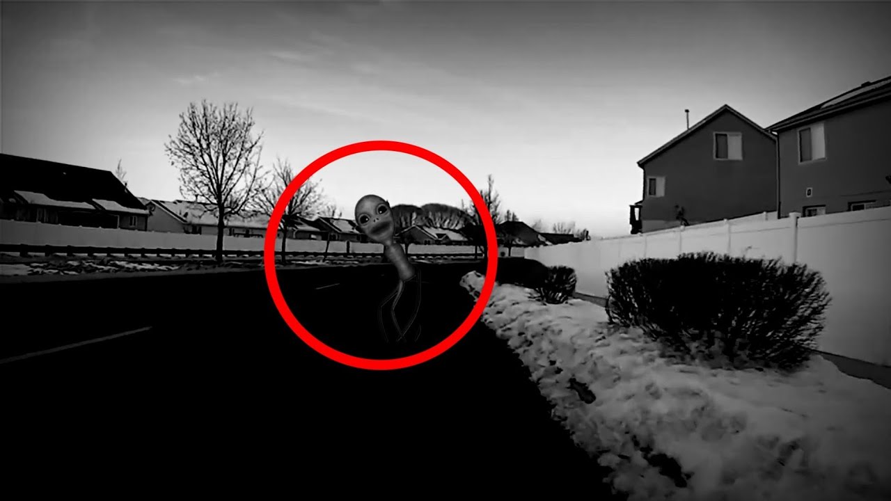 forgotten baby CAUGHT ON CAMERA AND SPOTTED IN CANADA - YouTube