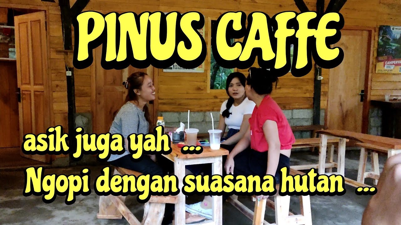 PINUS CAFFE, Tempat Ngopi dan Ngobrol nyaman di tepi Hutan - YouTube