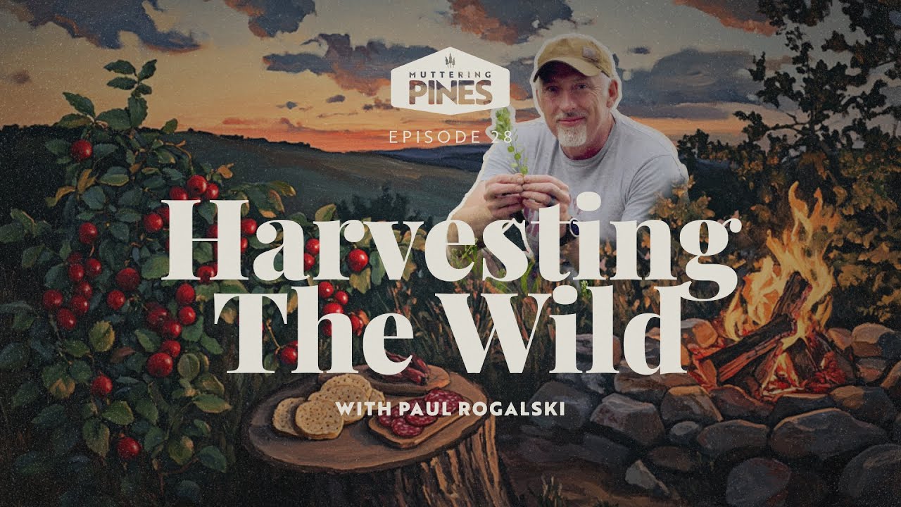Harvesting the Wild with Paul Rogalski - Muttering Pines E28 - YouTube
