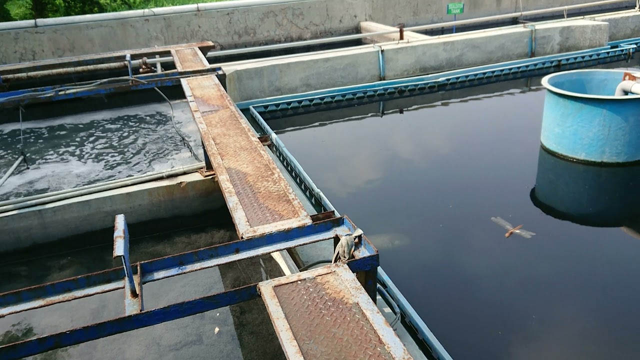 Koagulasi, Flokulasi dan Sedimentasi - YouTube