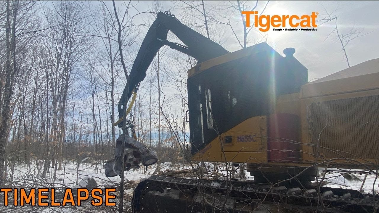Cutting Hardwood in Western New Brunswick-Tigercat 855C, LogMax 7000 ...