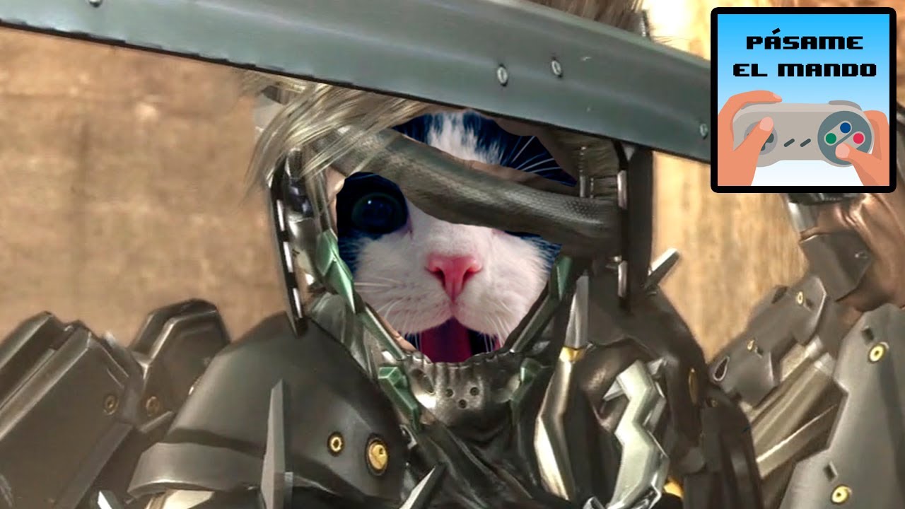 Metal Gear Rising - Metal Gear Cat - YouTube