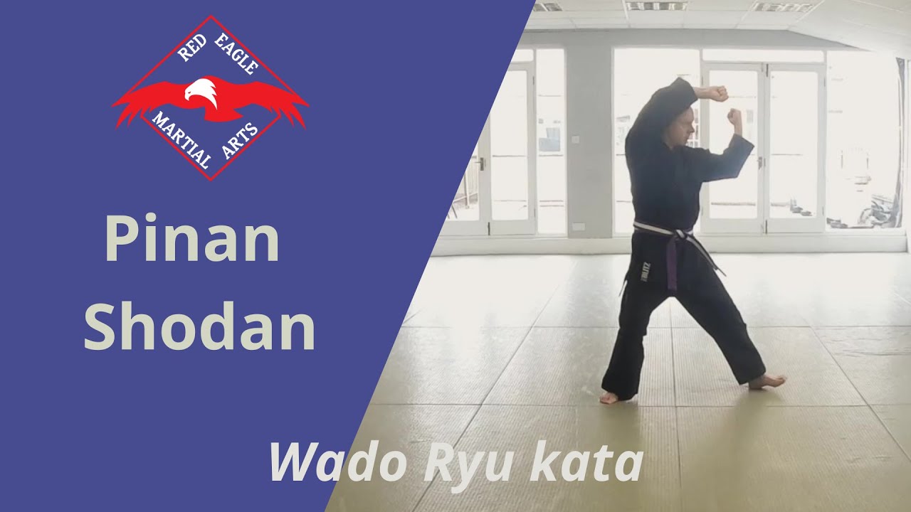 Pinan Shodan Wado Ryu slow fast - YouTube