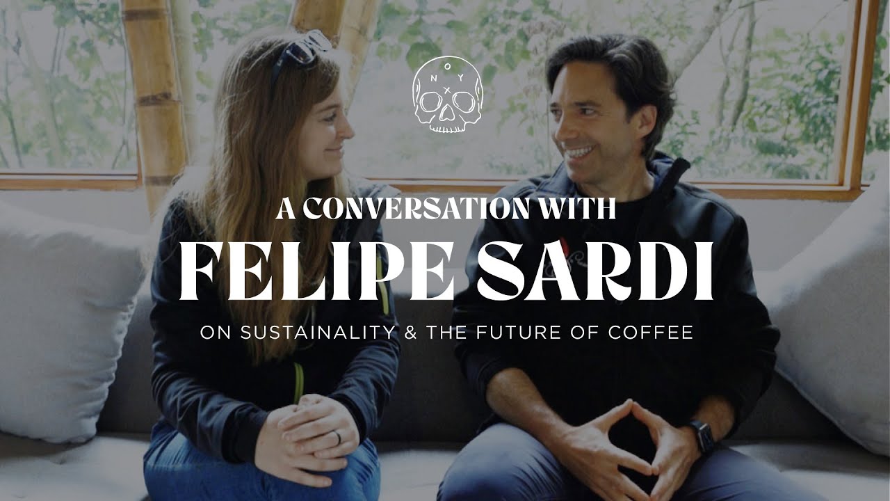 A Conversation With Felipe Sardi - YouTube