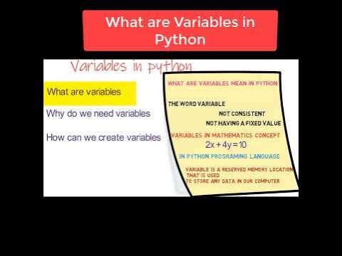 What are Variables in python Programing Language #shorts #learntocode - YouTube