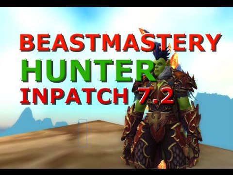 Bm Hunter PvP Guide 7.2 - YouTube