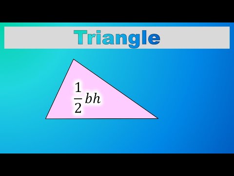 The Why Behind for the Area of a Triangle (1/2 bh) - YouTube