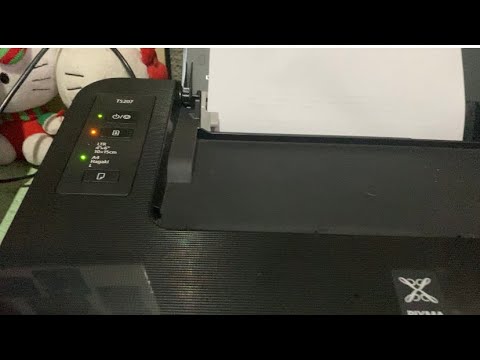 Canon TS200 Problem printing (ink low) - YouTube