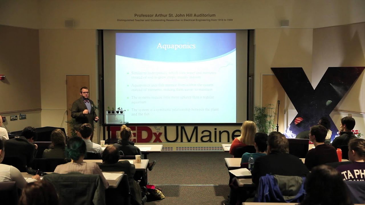 Fields of blue-- an agricultural alternative: Kyle Stetson at ...