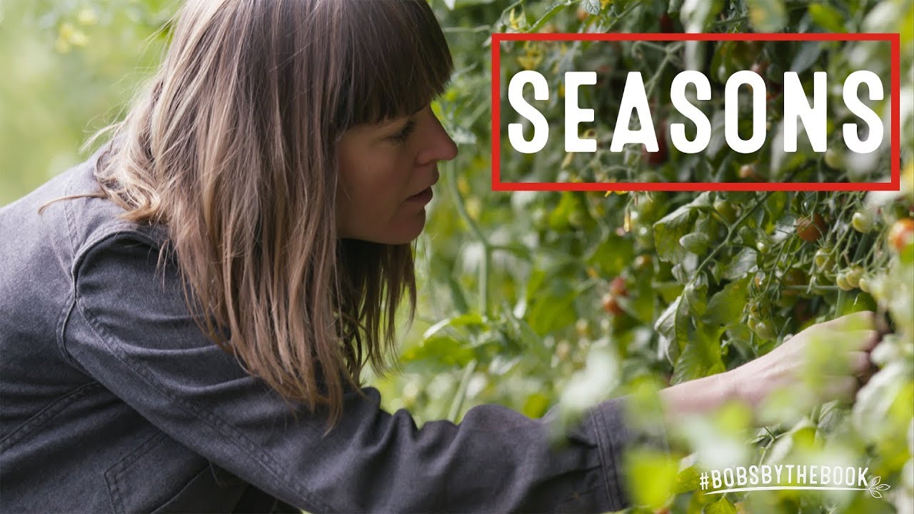 Bob's By The Book: Meet Andrea Bemis - YouTube