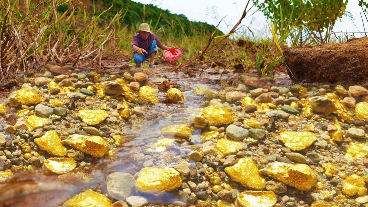 Golden River! These gold riches can be found in riverbed and under ...