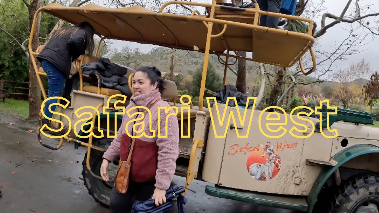 Family Fun at Safari West - Our Safari Adventure - YouTube