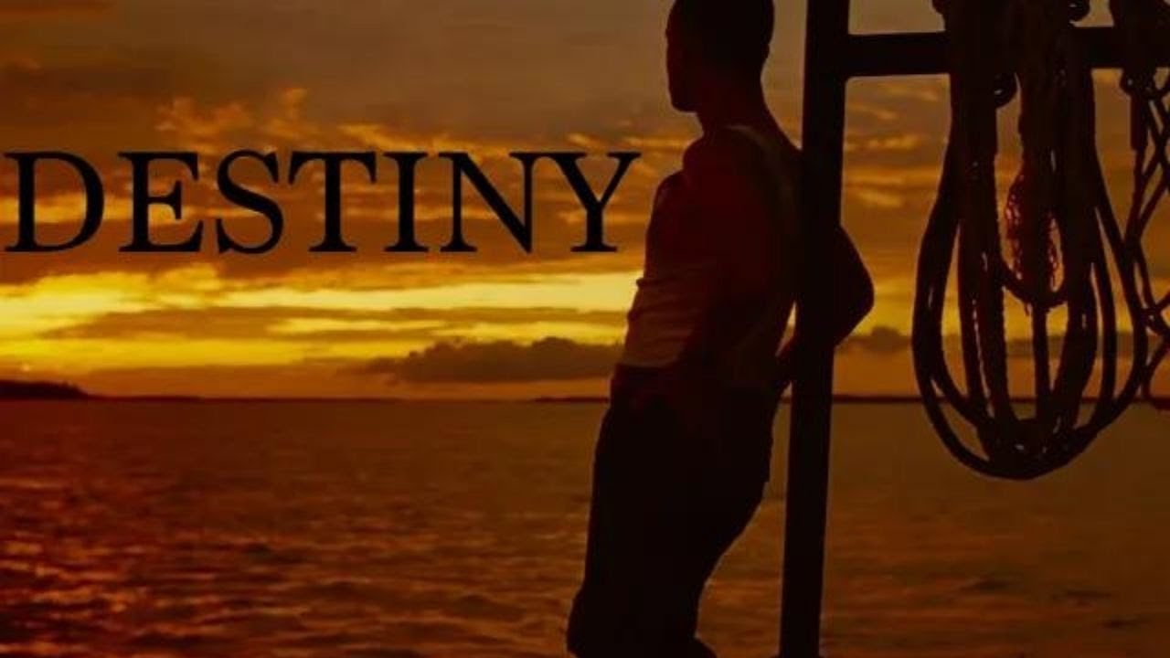 Forrest Gump Quotes Destiny