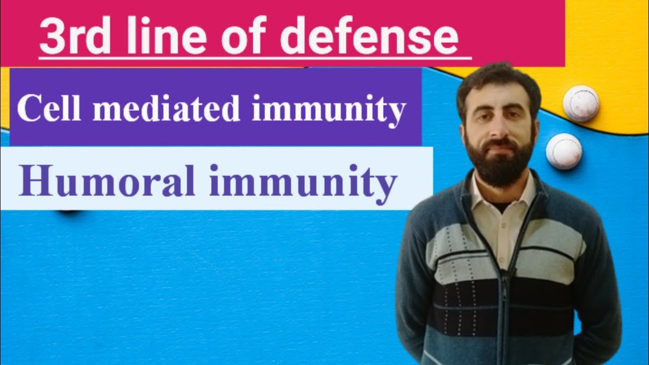 third line of defense | Humoral immunity |cell mediated immunity ...