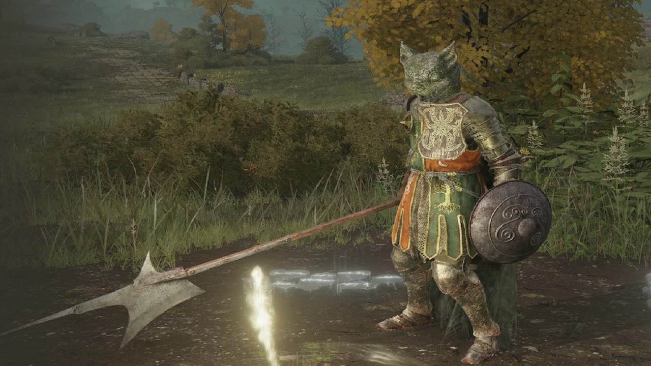Elden Ring Equip Use Lordsworn's Shield - YouTube
