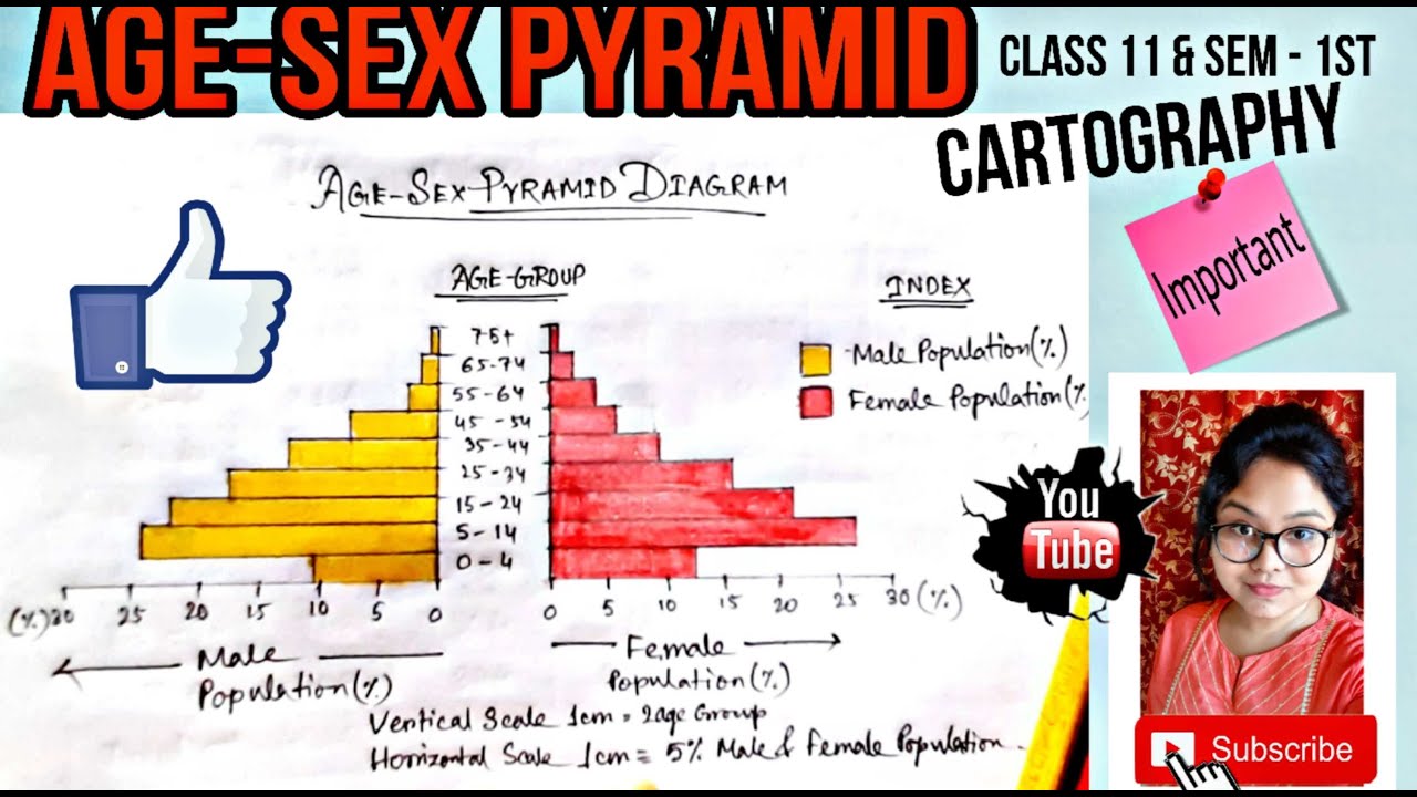 AGE-SEX PYRAMID|Calculation & drawing|By-Sagarika Nag,geography - YouTube