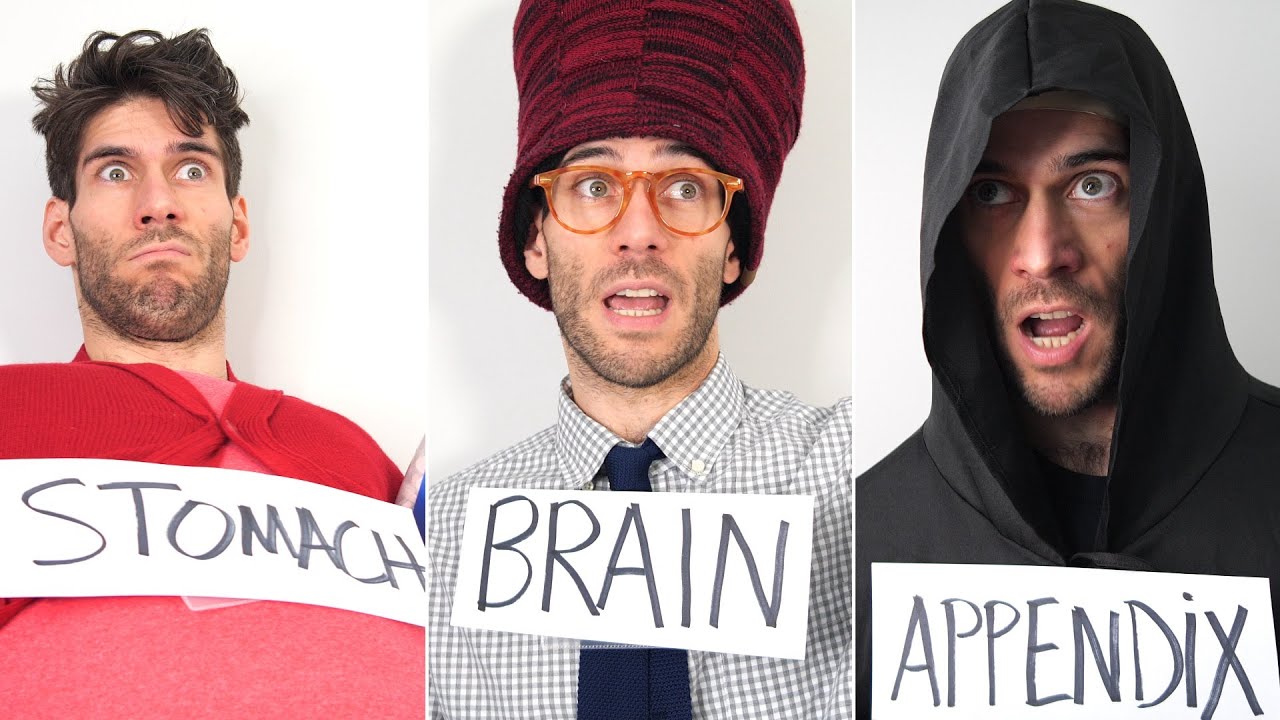 If Body Organs Were People - YouTube