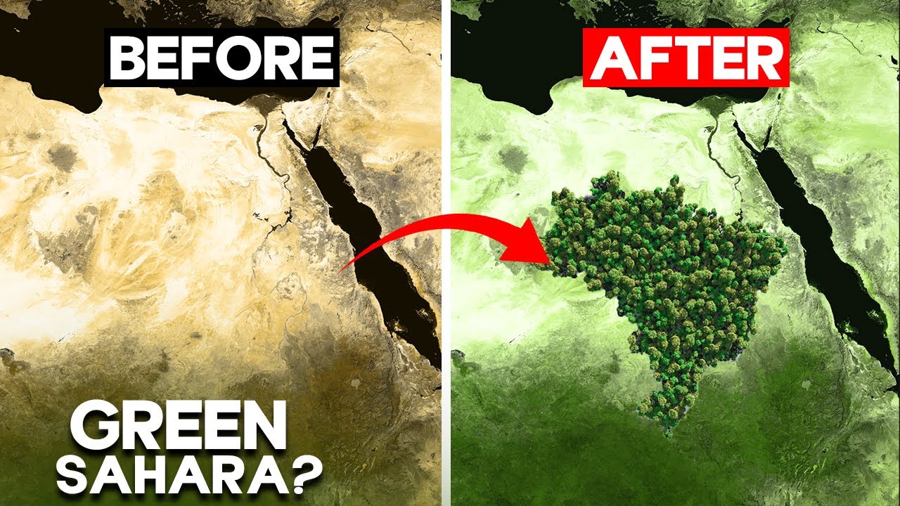 How Scientists Are Making SAHARA Green Again Using A GENIUS Idea - YouTube