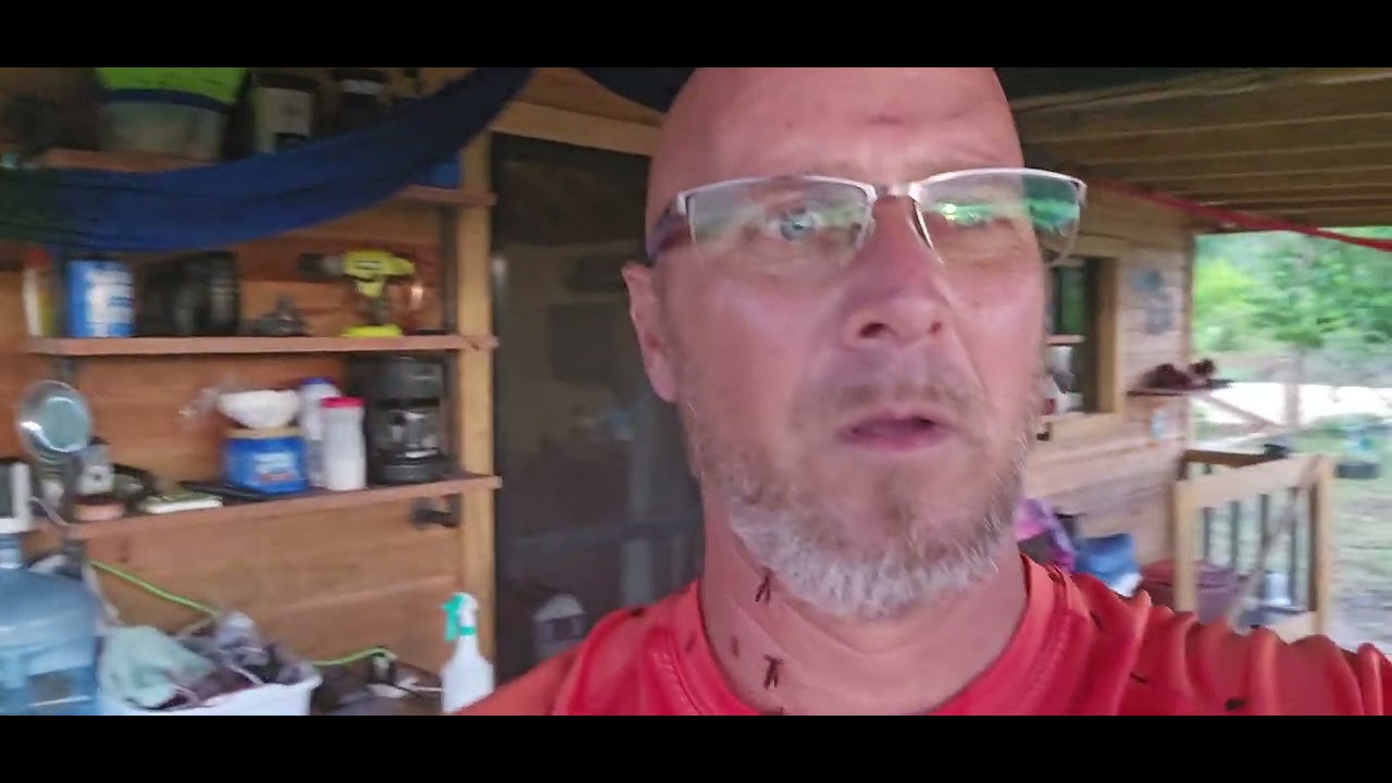 The NOTORIOUS BELIZE FLOOD FLY... Just one of the many pests you will ...