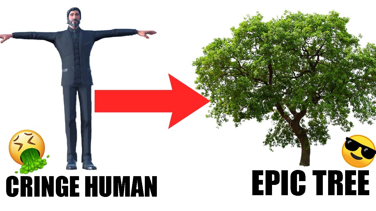 How to Turn into a Tree - YouTube