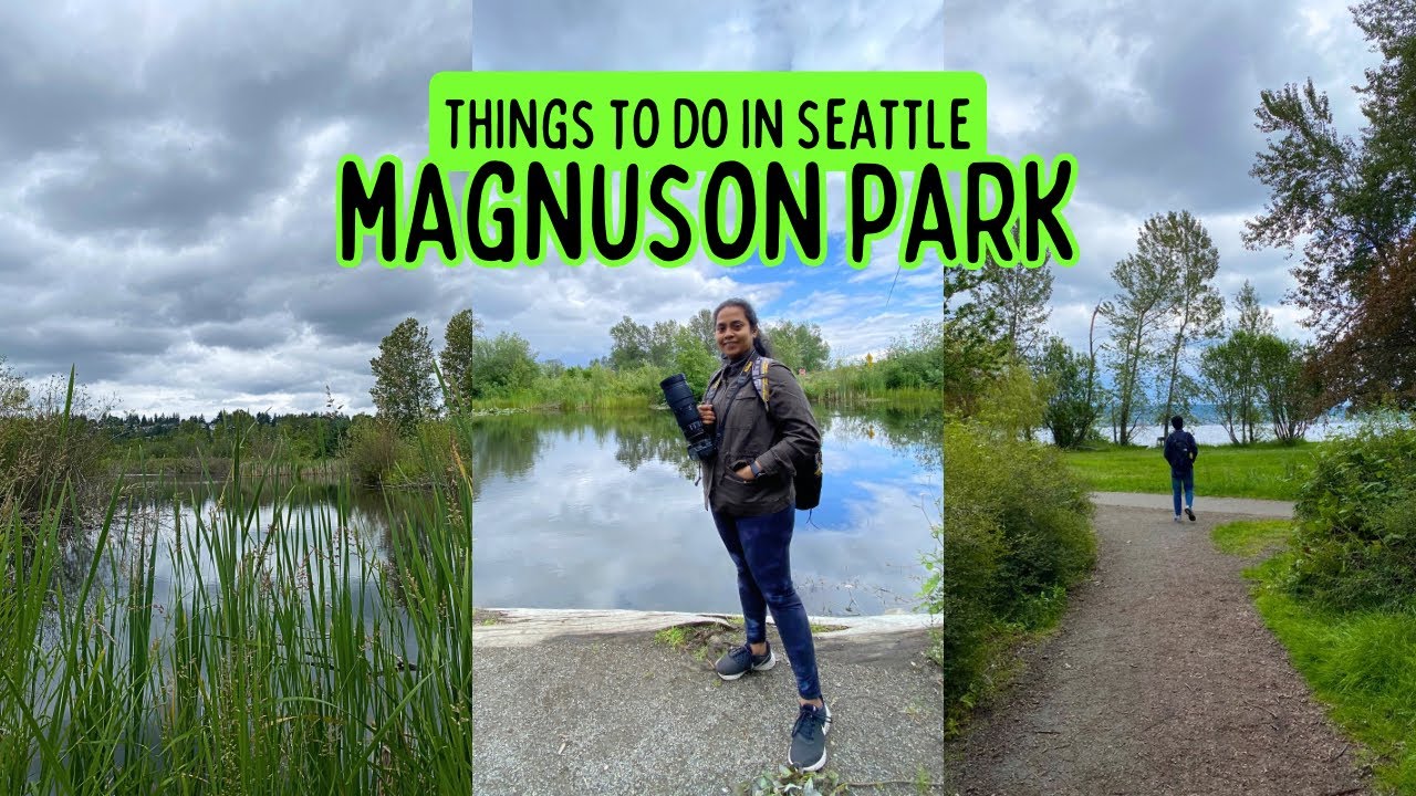 Explore Magnuson Park | Nature & Wildlife | Things to do in Seattle ...