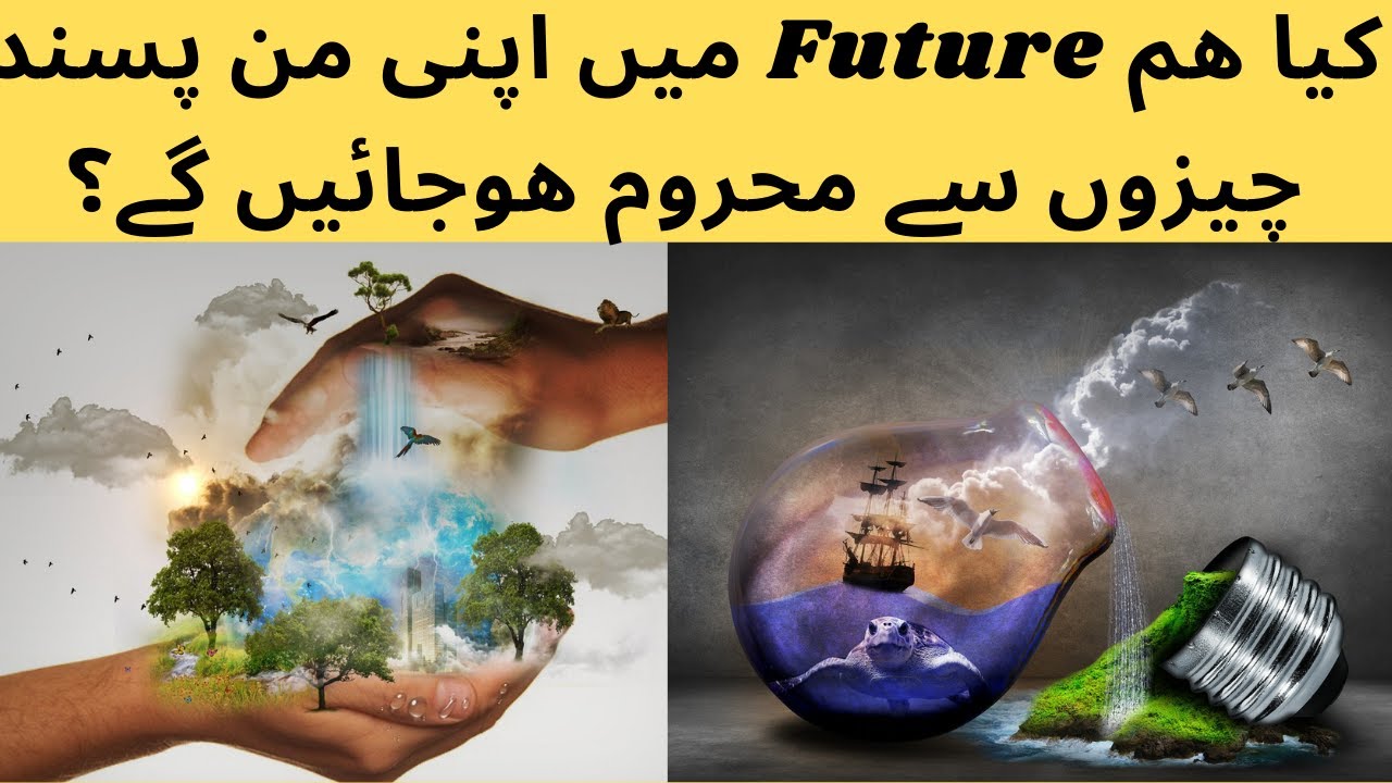 What Resources We Will Lose in Future | Things We will lose in the ...