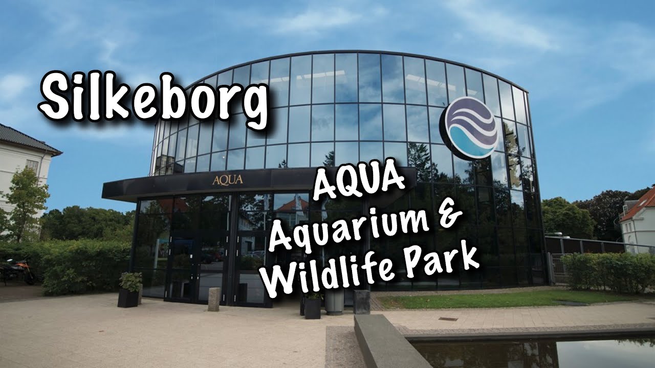 🇩🇰 AQUA Aquarium & Wildlife Park. Silkeborg - YouTube