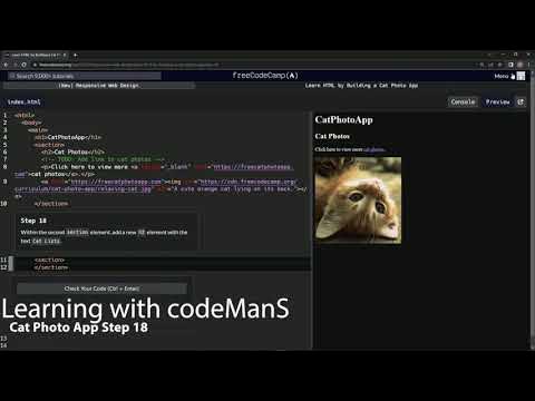learn2code | freeCodeCamp (New) Responsive Web Design - CatPhotoApp ...