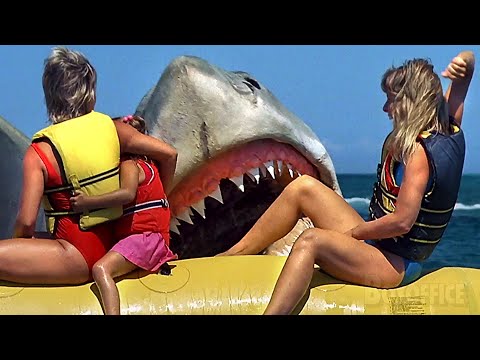Alerte au requin sur la plage !