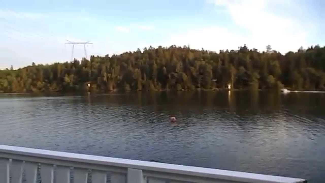 Icon A5 Waterflight on Helgö / Sweden - YouTube