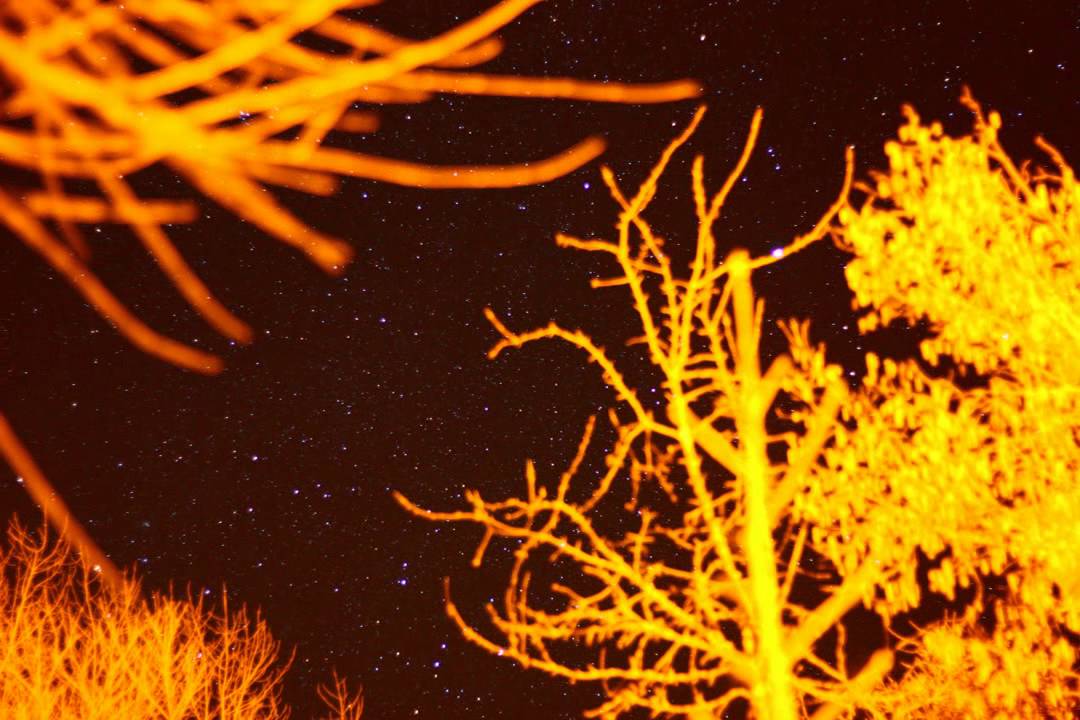 Time Lapse - Sirius, M41, M93, M47, M46 - 50mm lens at F1.8 - YouTube