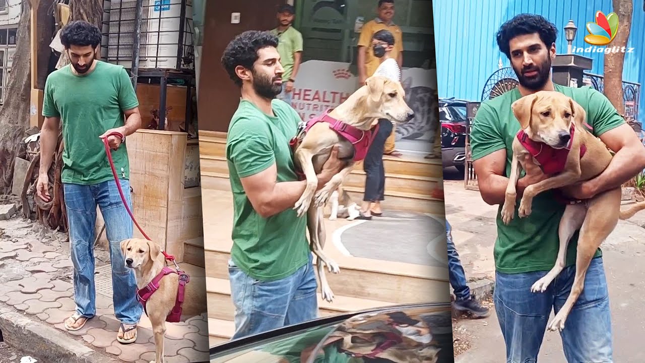 Aditya Roy Kapoor's Cute Moment with Dog 😱 | Every Girl's Dream - YouTube