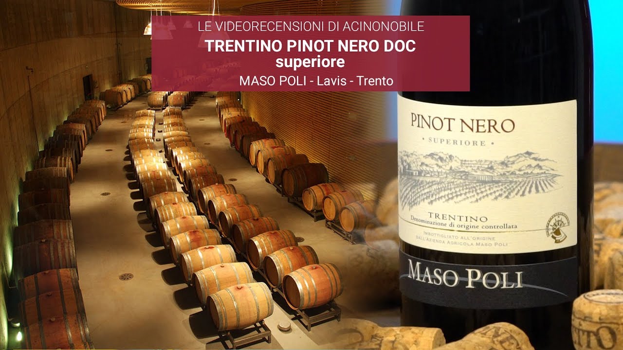 🍇MASO POLI | PINOT NERO SUPERIORE DOC | TRENTINO - YouTube