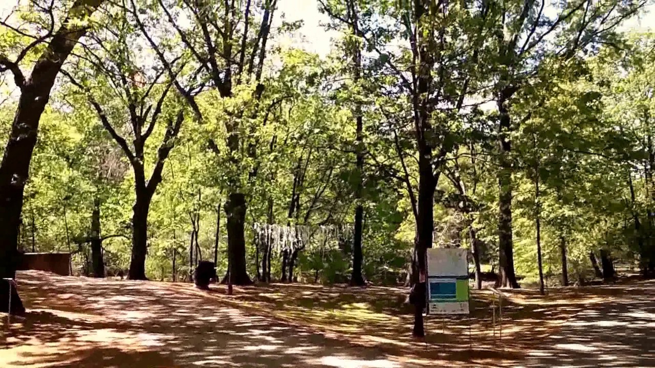 Brookline/Boston Riverway - YouTube