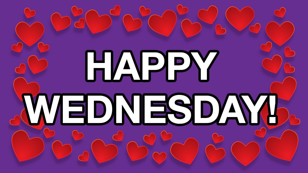 HAPPY WEDNESDAY! Free Funny Greeting eCards - funny animation - YouTube