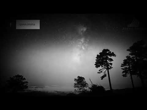 Мухаммад Холбос / кто мы забыли себя