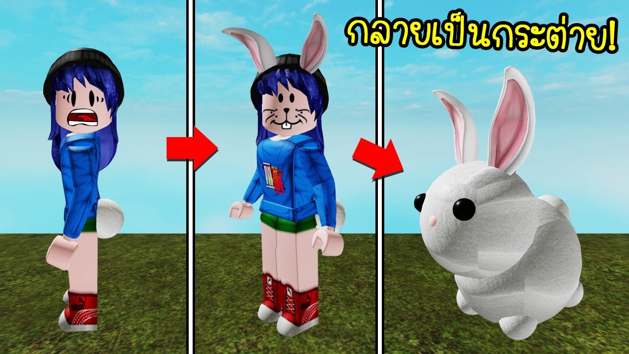 ลองใช้ชีวิตเป็นกระต่ายดู..จะน่ารักไหม? | Roblox Rabbit Simulator - YouTube