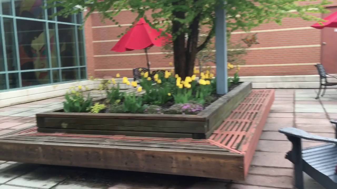 Barrie Public Library's Rooftop Garden - YouTube