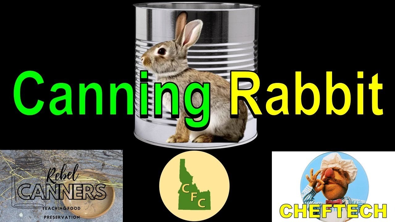 No. 1258 – Canning Rabbit - YouTube