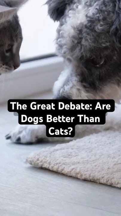 Join the debate! Are dogs superior to cats or vice versa? #dogs #cats # ...