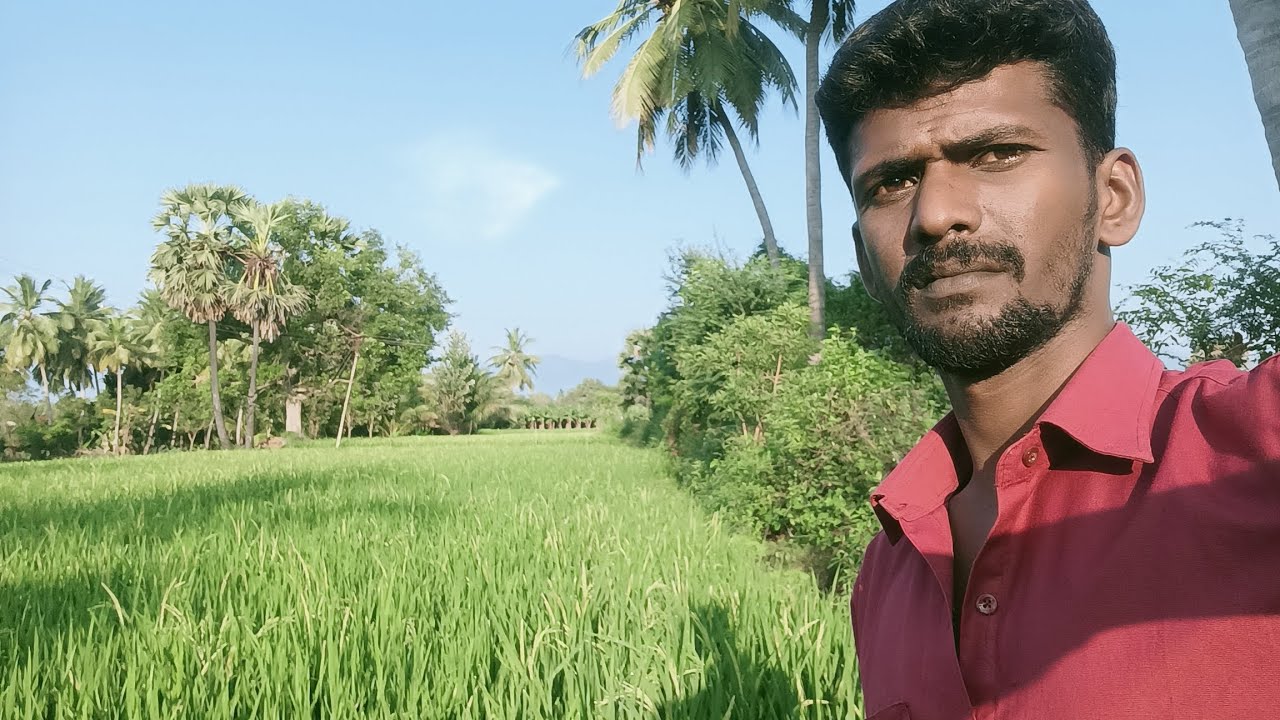 #தேவைக்கொ அதிகம் இருந்தால் கொடுத்து உதவலாம்#பணமாகத்தான் கொடுக்கவேண்டும் ...